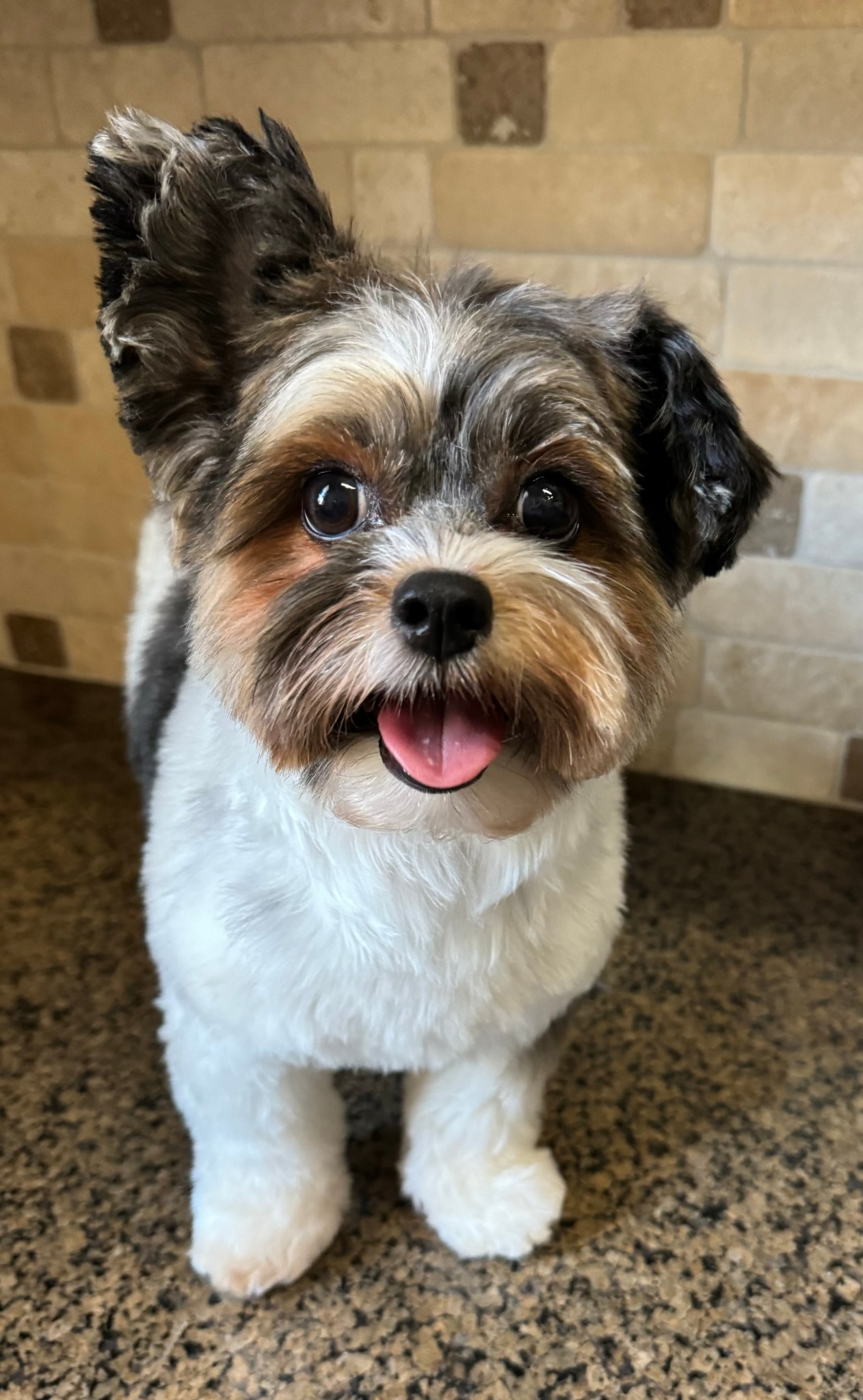 Tracy Pickel LLC – Frisco, Plano, Carrollton, Richardson, Allen, Prosper